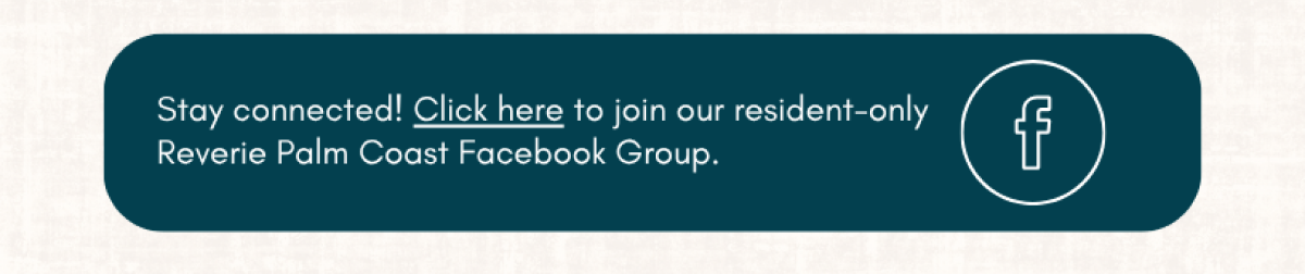 Live in Reverie, January Monthly Newsletter! 🙌